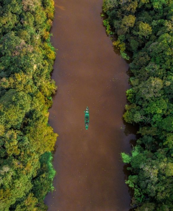 Amazon | Brazil the Guide